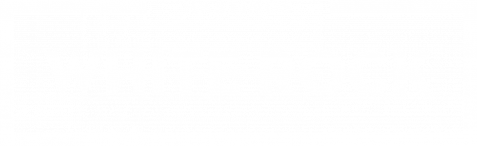 Bongo’s Bingo – The White Rock | Hastings